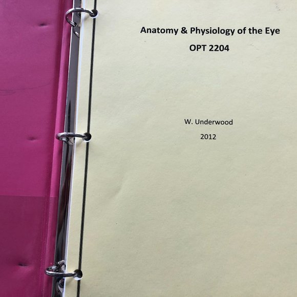 ANATOMY OF THE EYE | Other | Binder Anatomy And Physiology Of The Eye ...